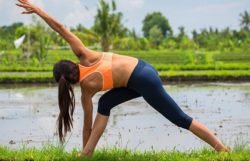Yoga Classes in Mississauga, Ontario, Canada : Ray Yoga Studio